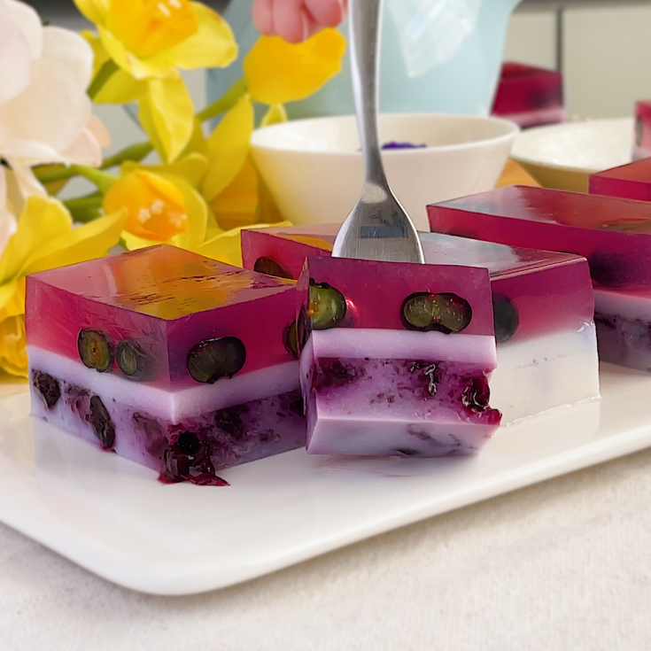 Dragon Fruit Agar-agar Jelly Mooncake | Agar-agar Recipes | Mid Autumn ...